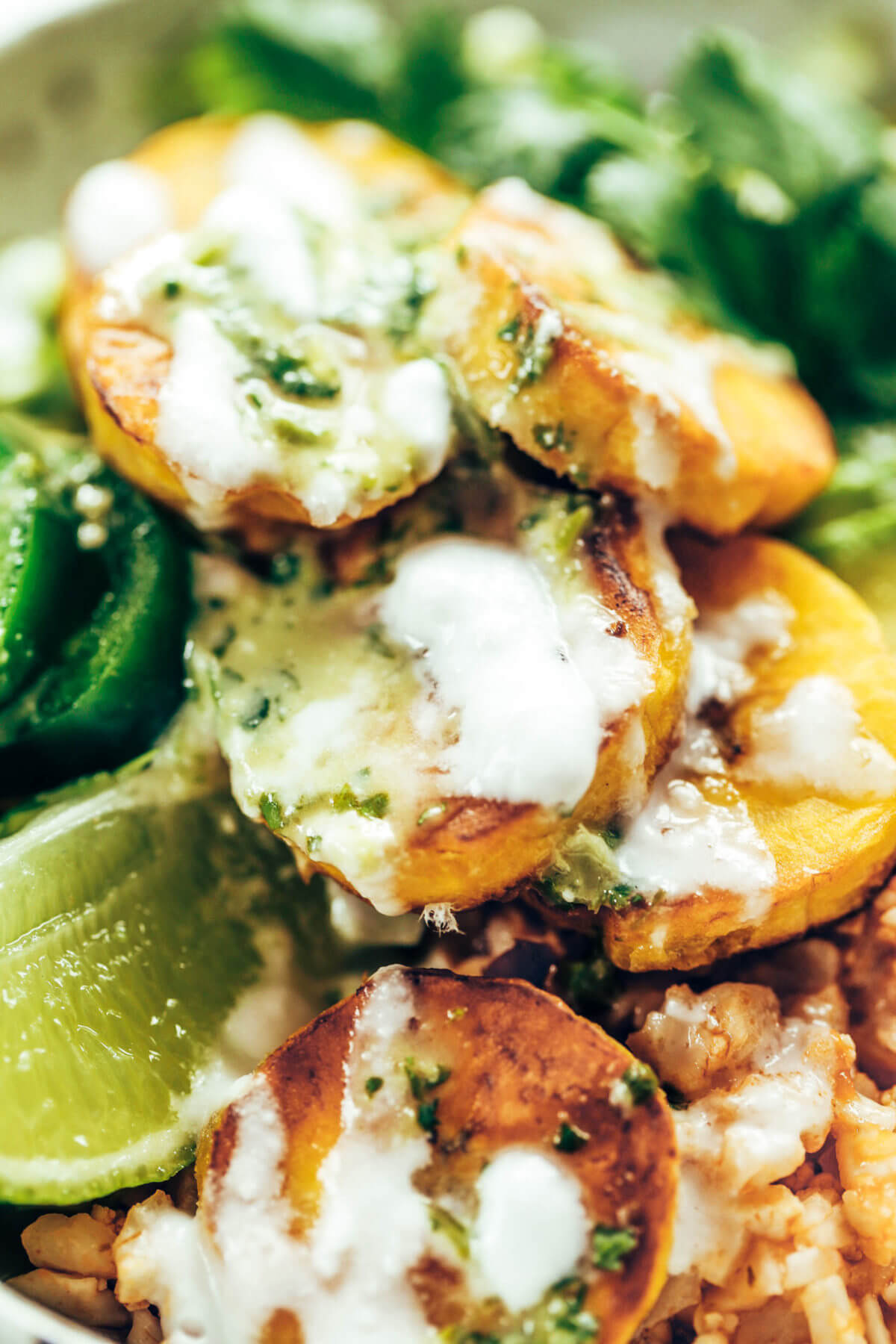 Spicy Cauliflower Rice Plantain Slaw Bowls - Paleo Gluten Free