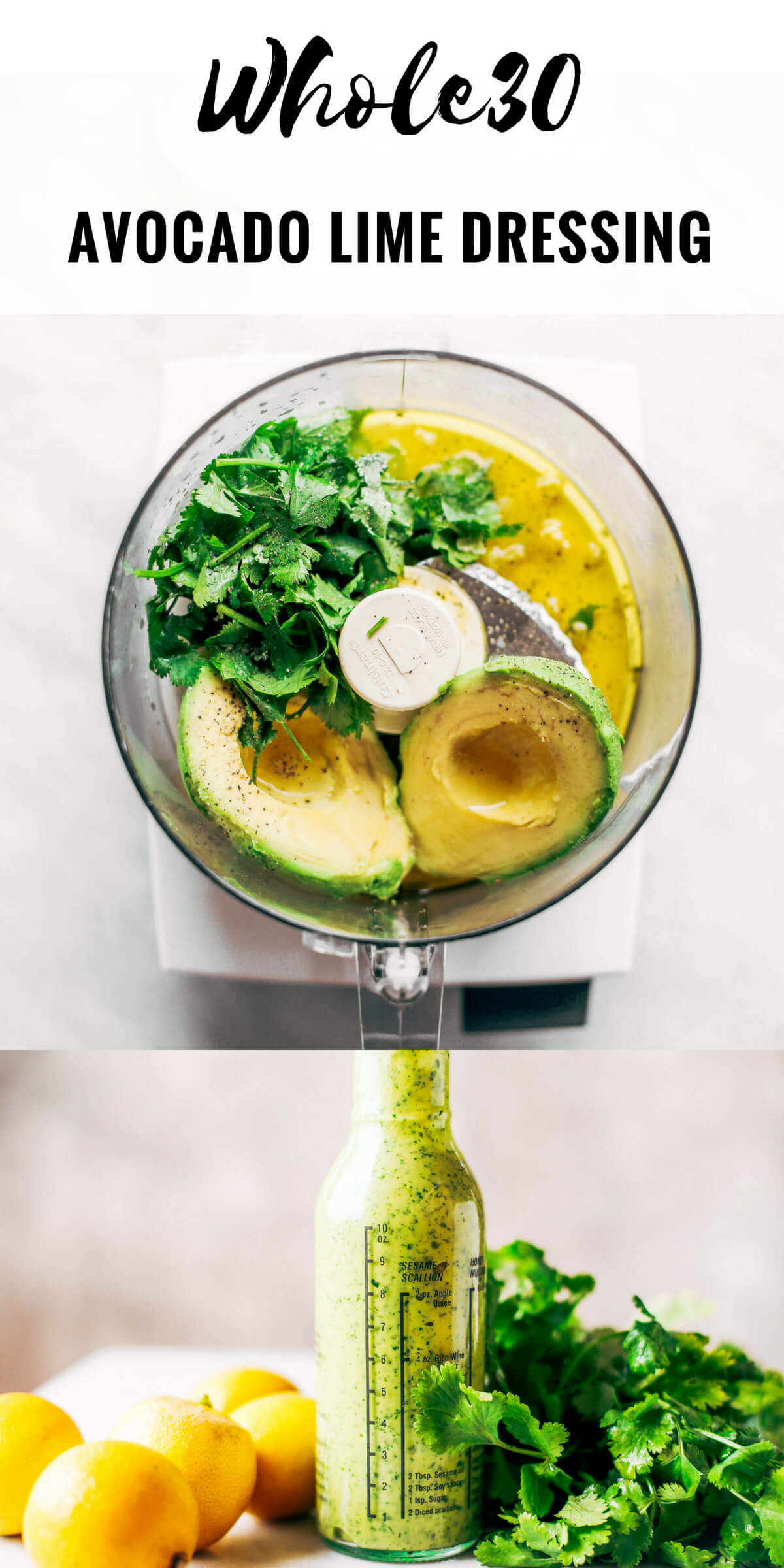 Creamy Avocado Cilantro Lime Dressing - Paleo Gluten Free